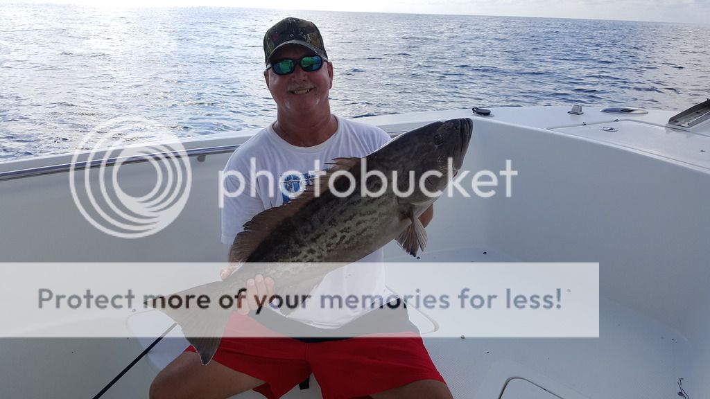 I use to catch Mingo now can,t find em | Pensacola Fishing Forum